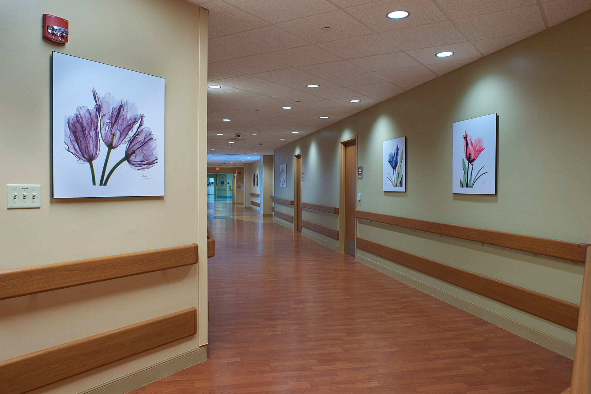 Memorial Hospital West Vertical Bed Tower Expansion - ANF GroupANF Group